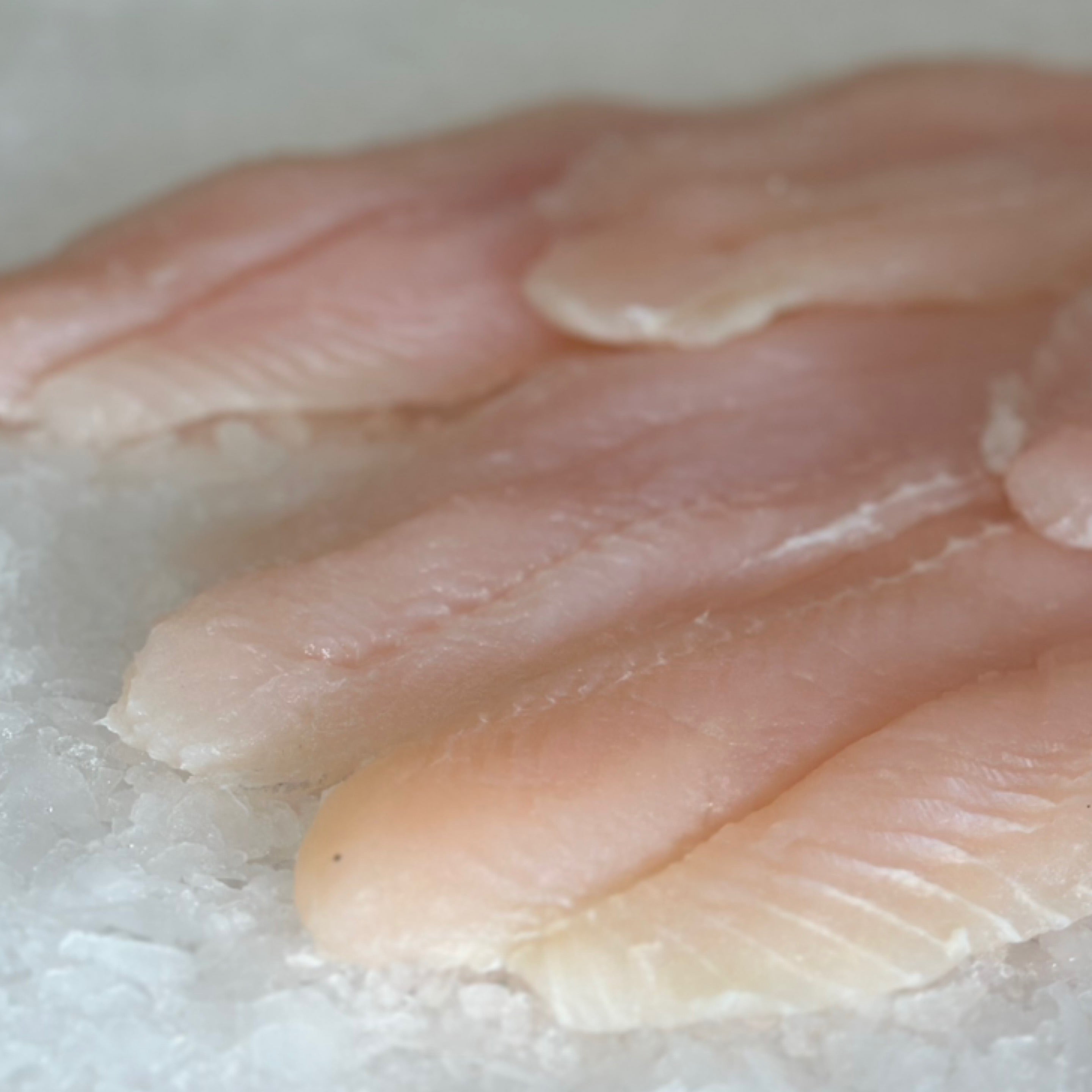 Swai Fillet | George's Seafood
