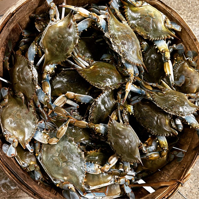 Male #2 Crabs
