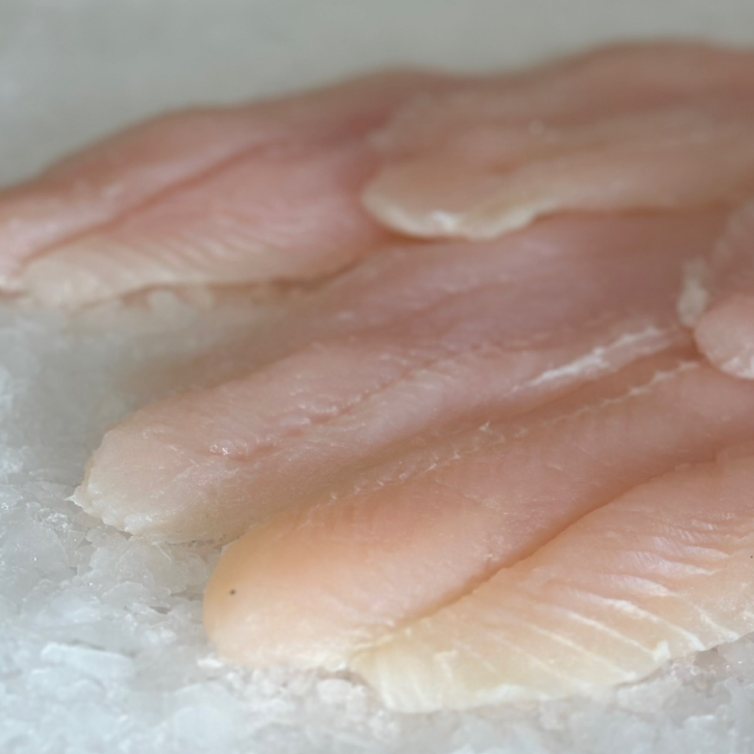 Swai Fillet | George's Seafood