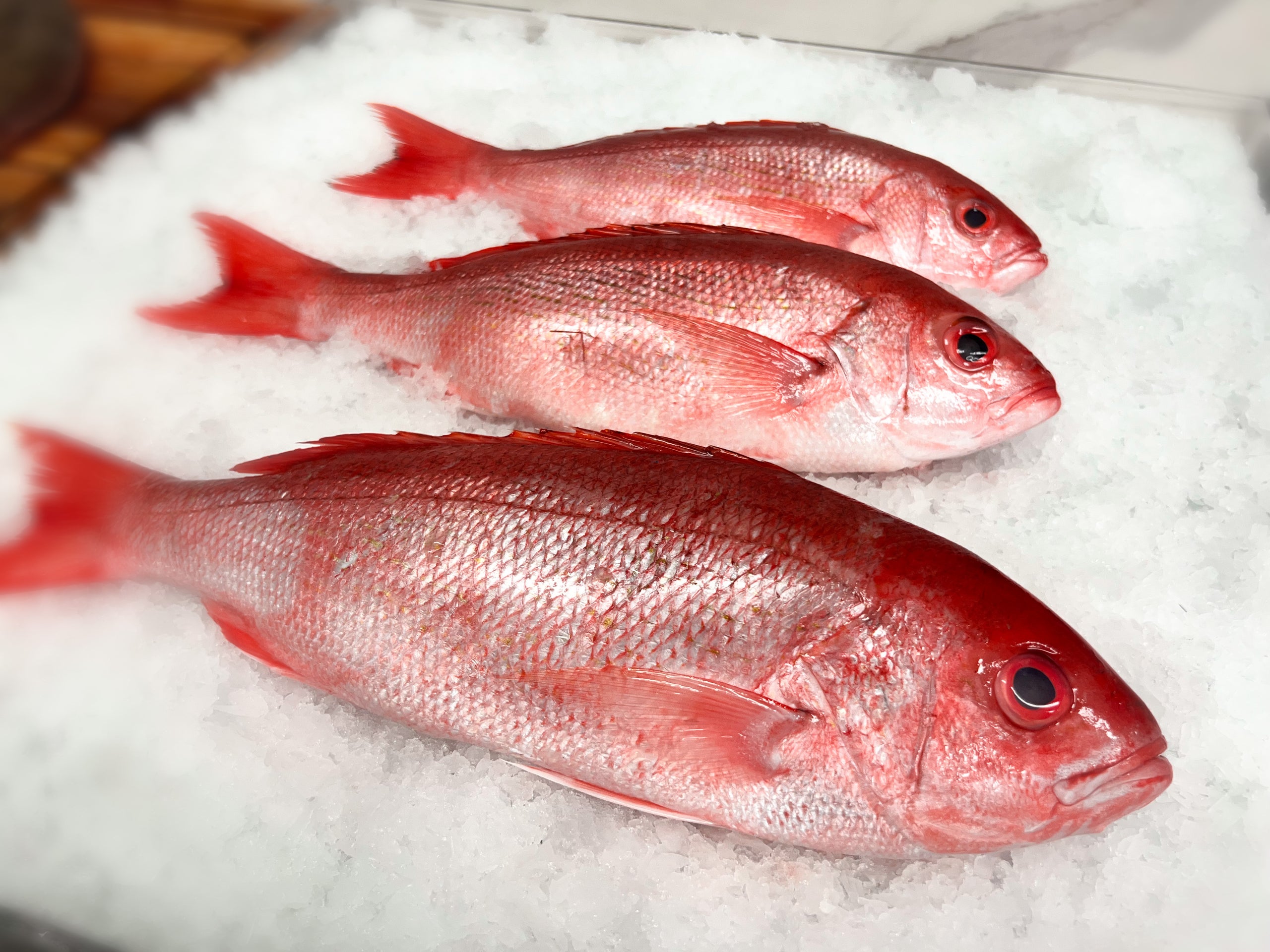 Red Snapper - Sold Per Fish (1-2 lbs Each) | George's Seafood